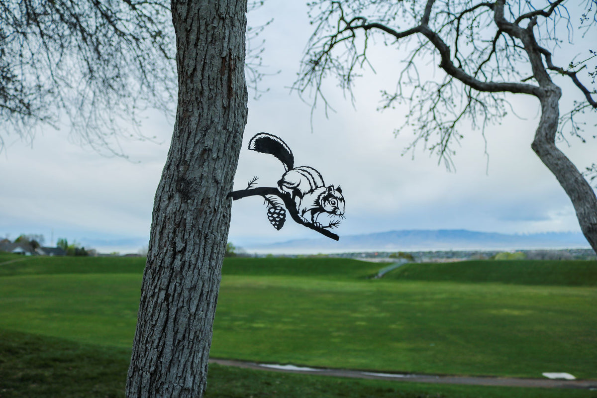 Animals & Birds – Still Animals