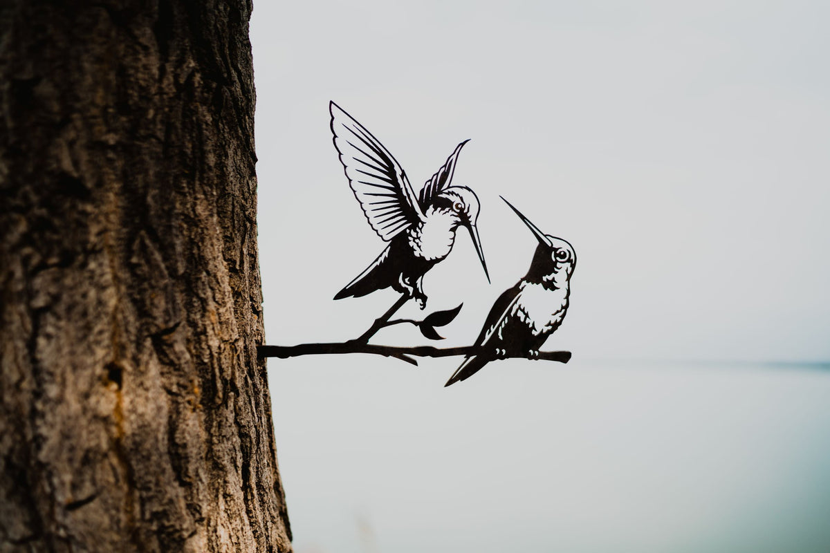 Birds – Still Animals