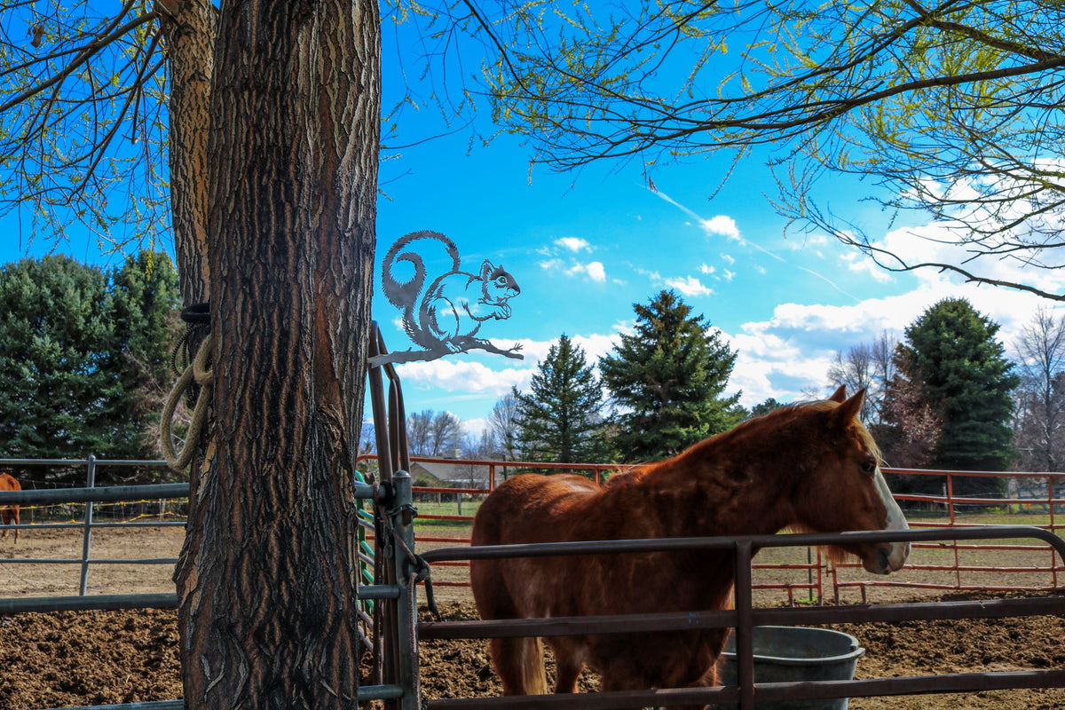 Animals – Still Animals