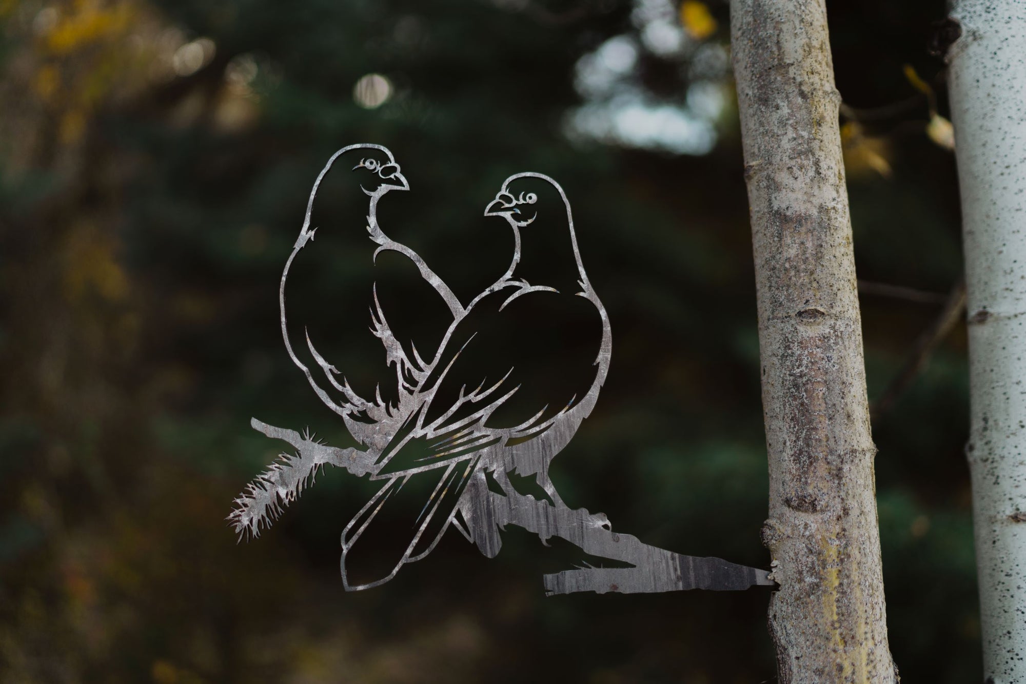 Love Doves – Still Animals