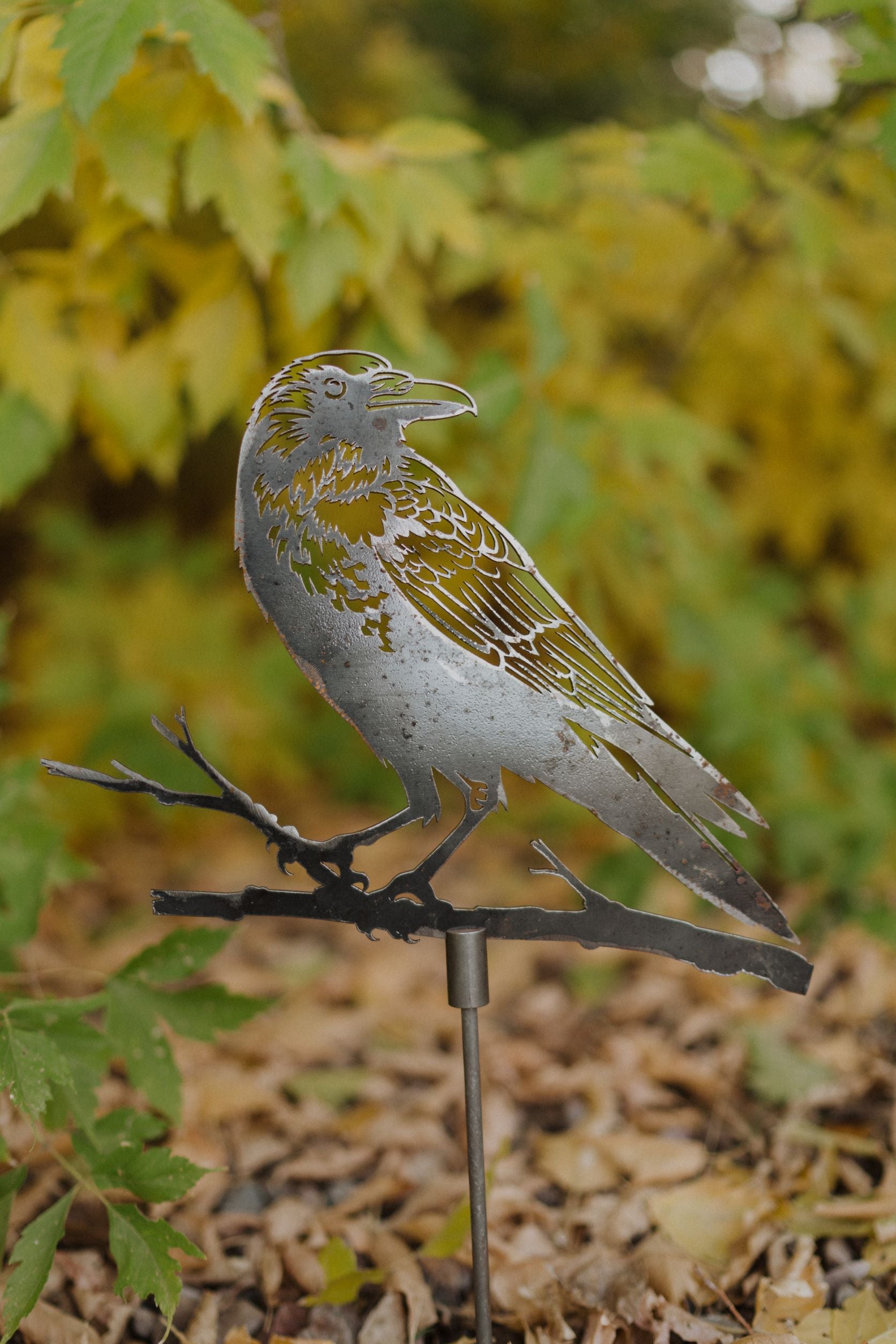 Raven – Still Animals