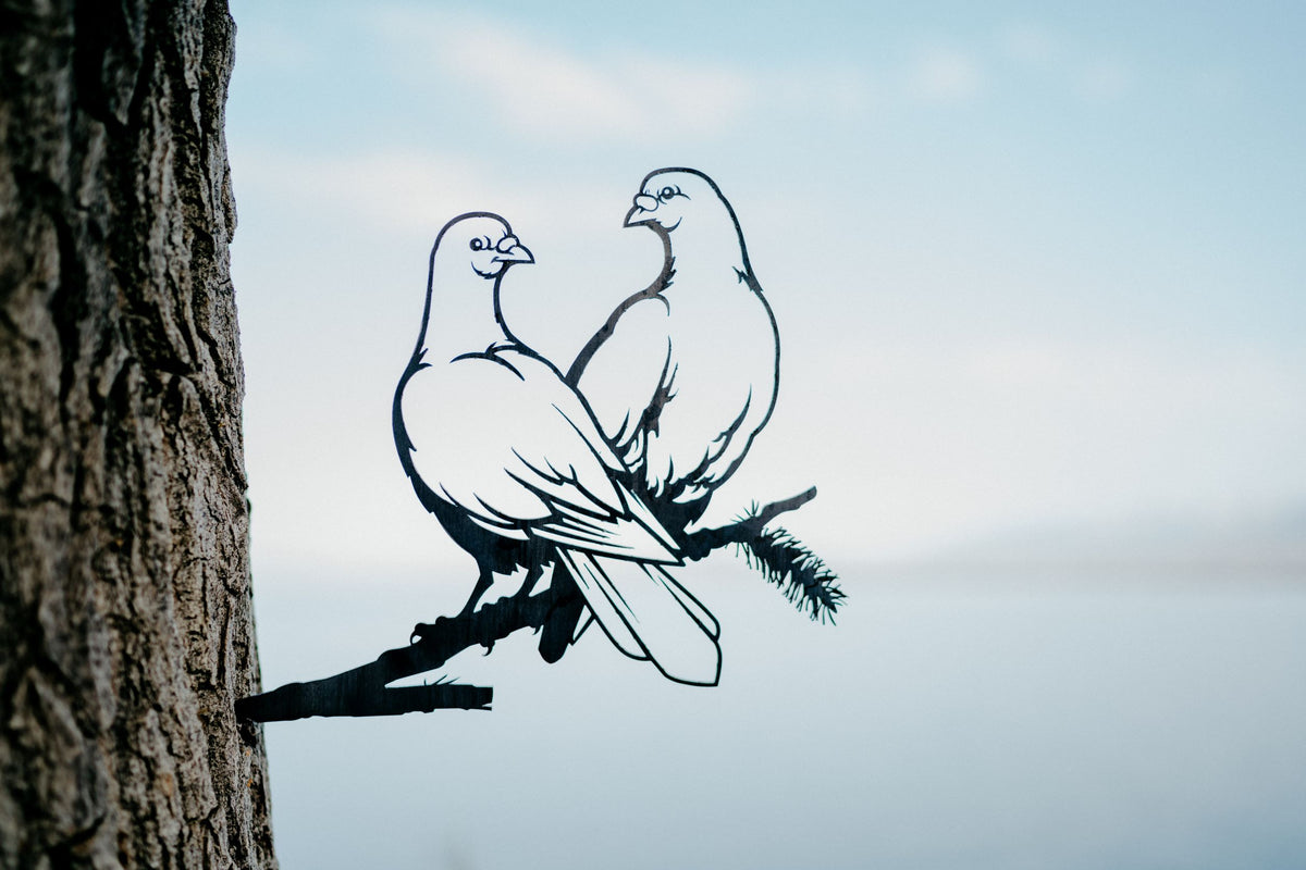 Love Doves – Still Animals