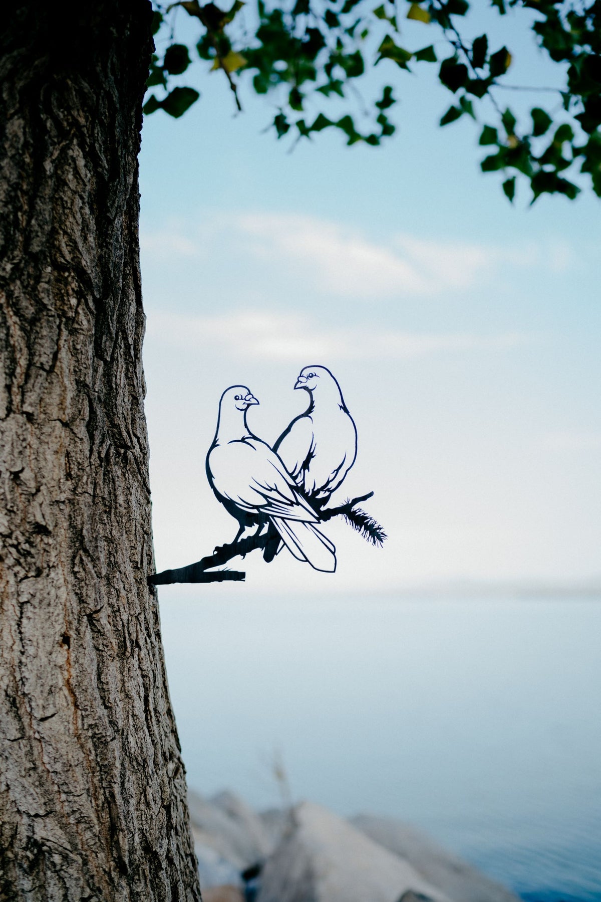 Love Doves – Still Animals