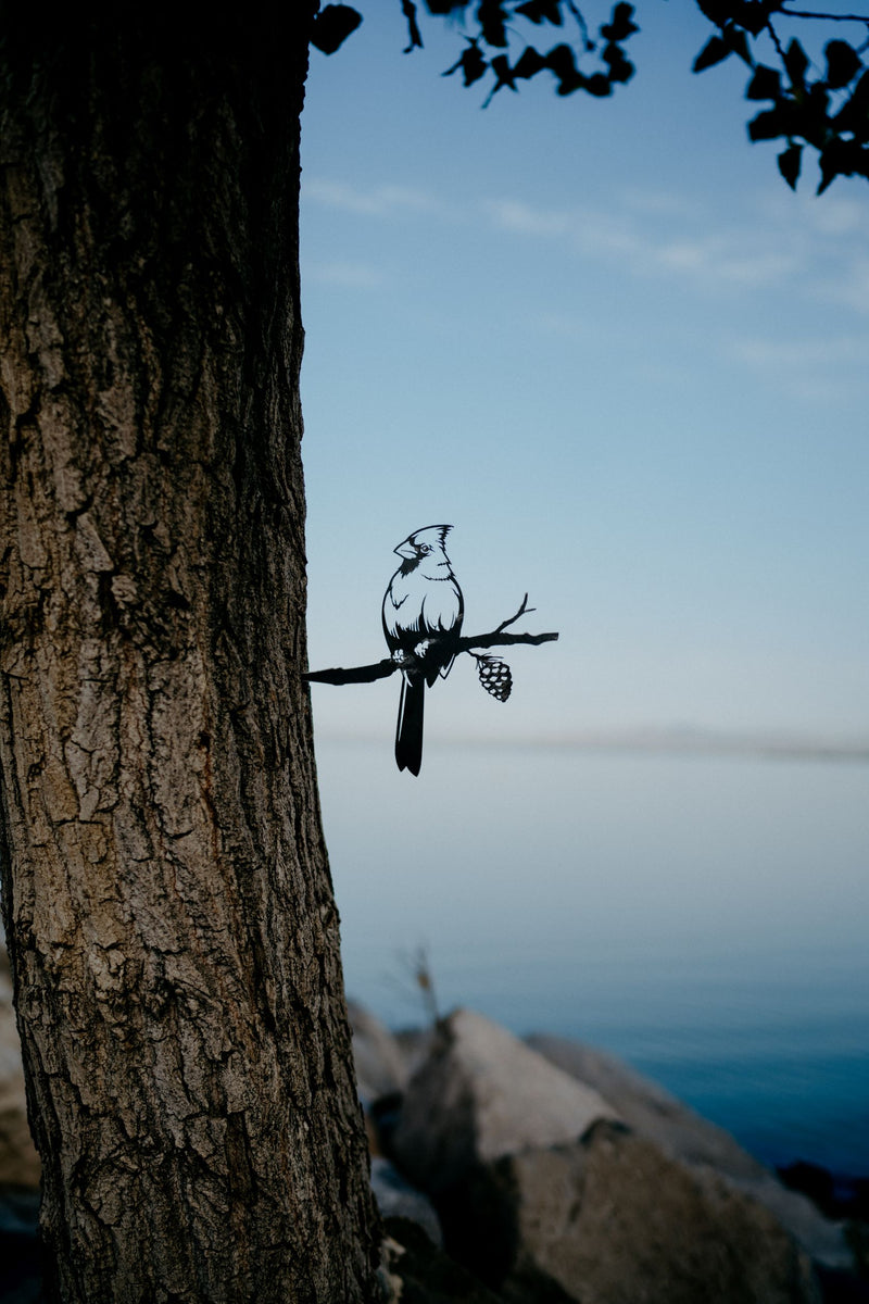 Cardinal – Still Animals