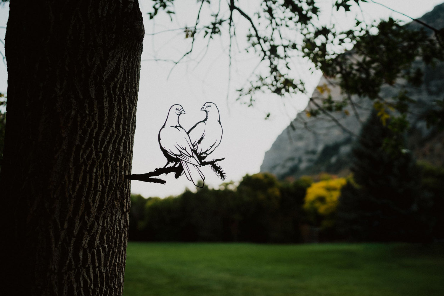 Love Doves – Still Animals