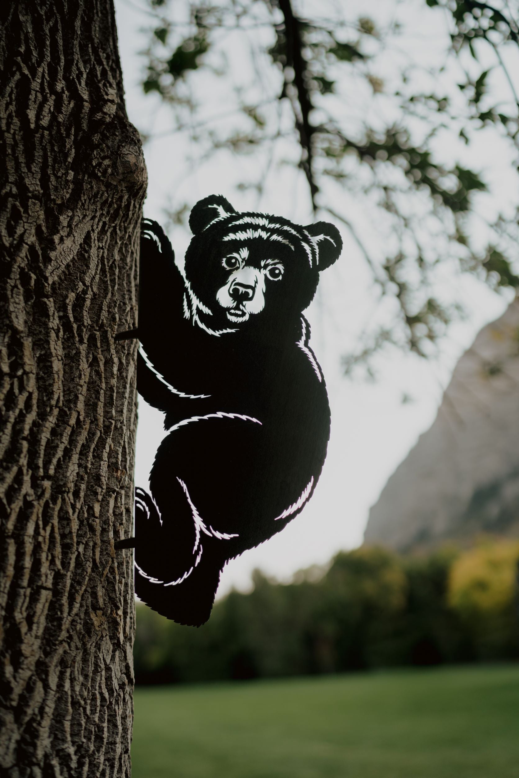 Bear Cub – Still Animals