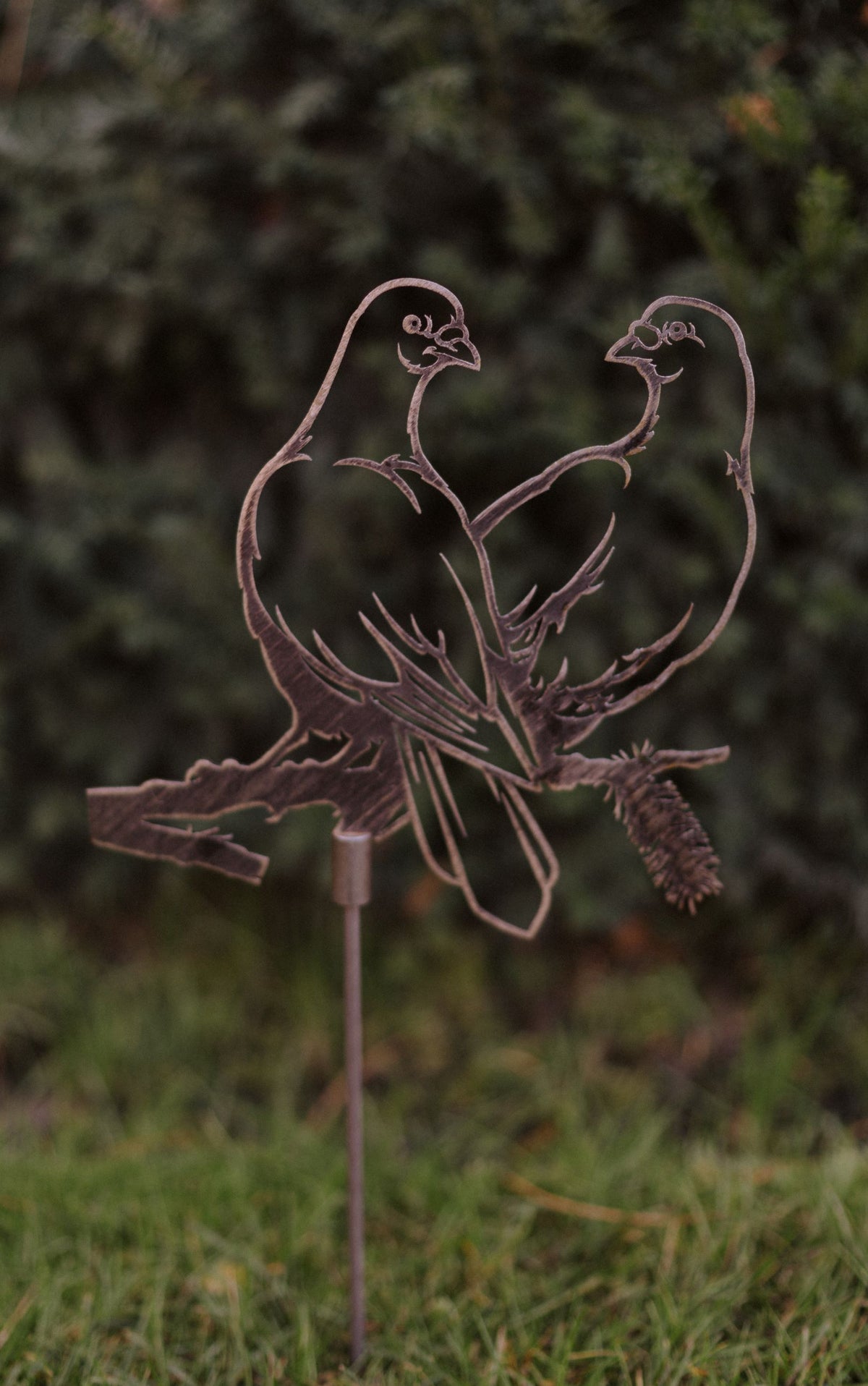 Love Doves – Still Animals
