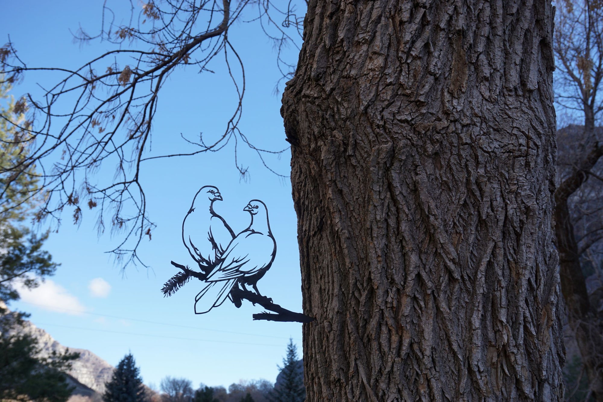Love Doves – Still Animals
